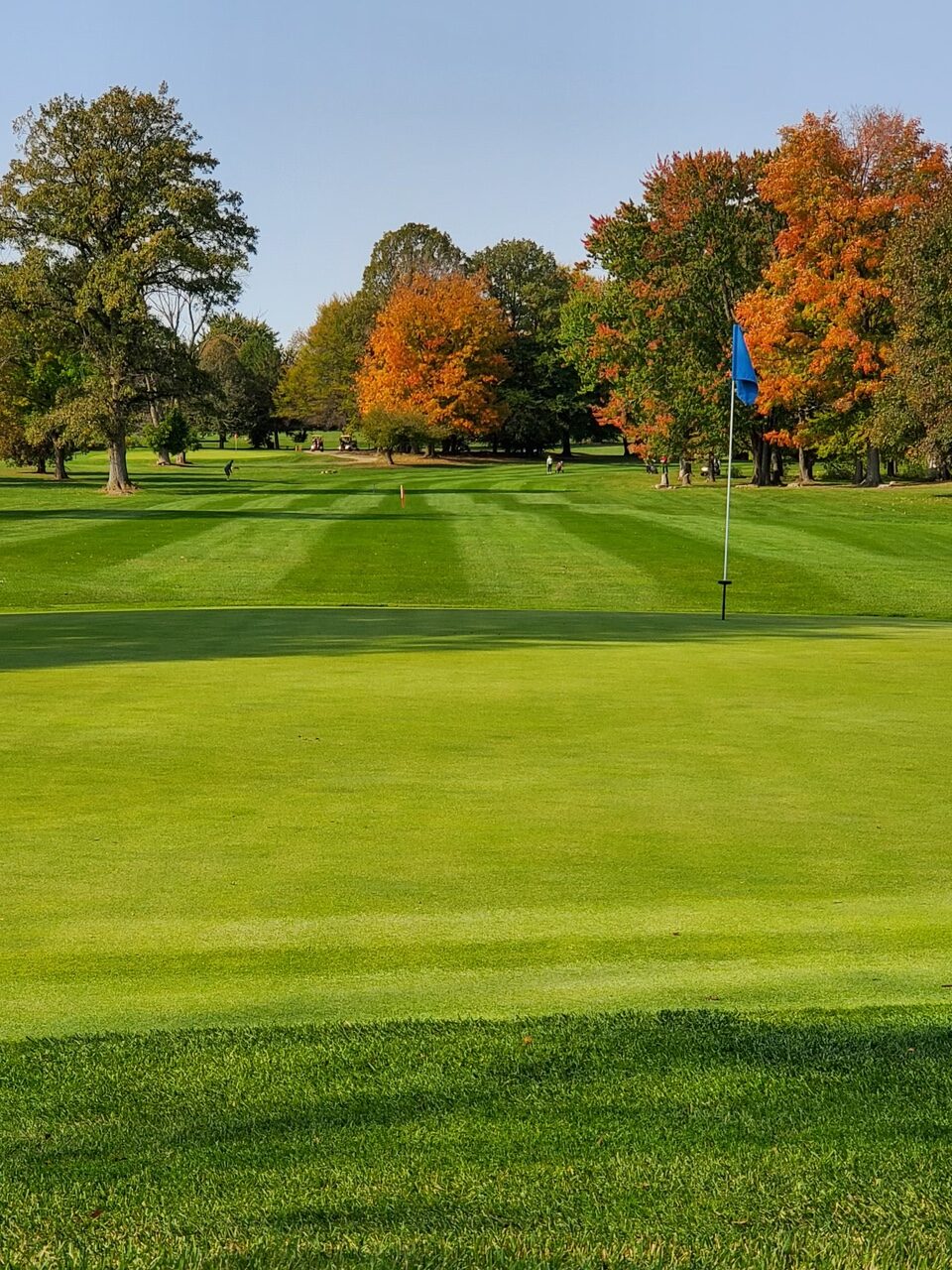 GolfNorth Takes Over Operation of Westminster Trails and Maple Ridge ...